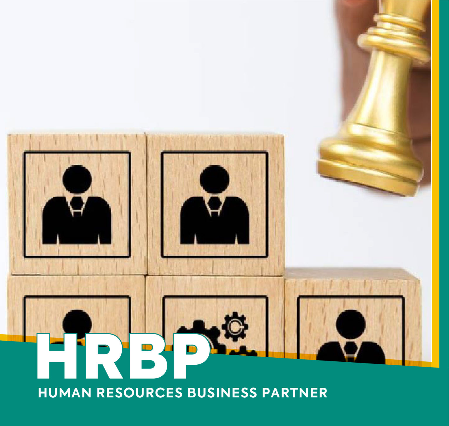 Nos Programmes - MDE Business School